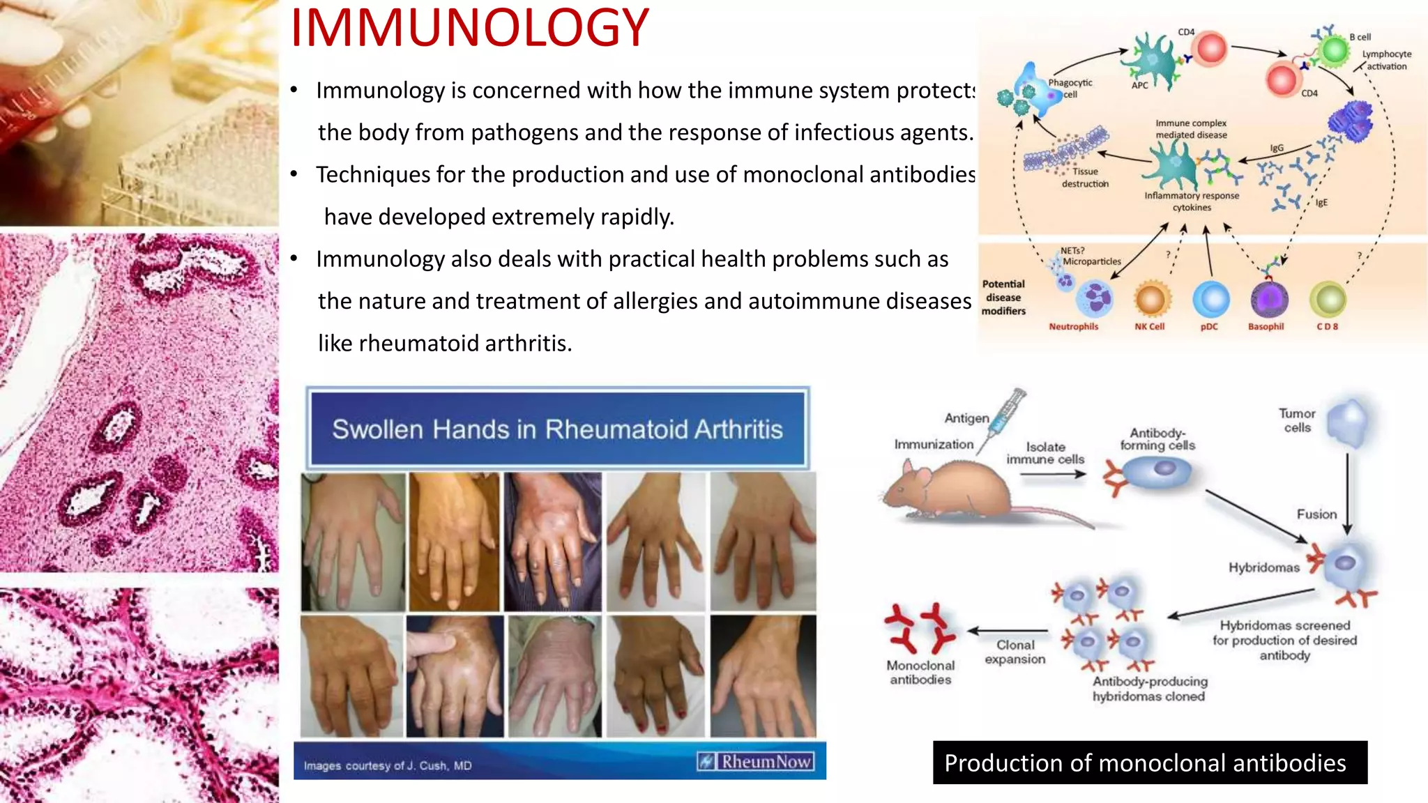 Scope of microbiology | PPT