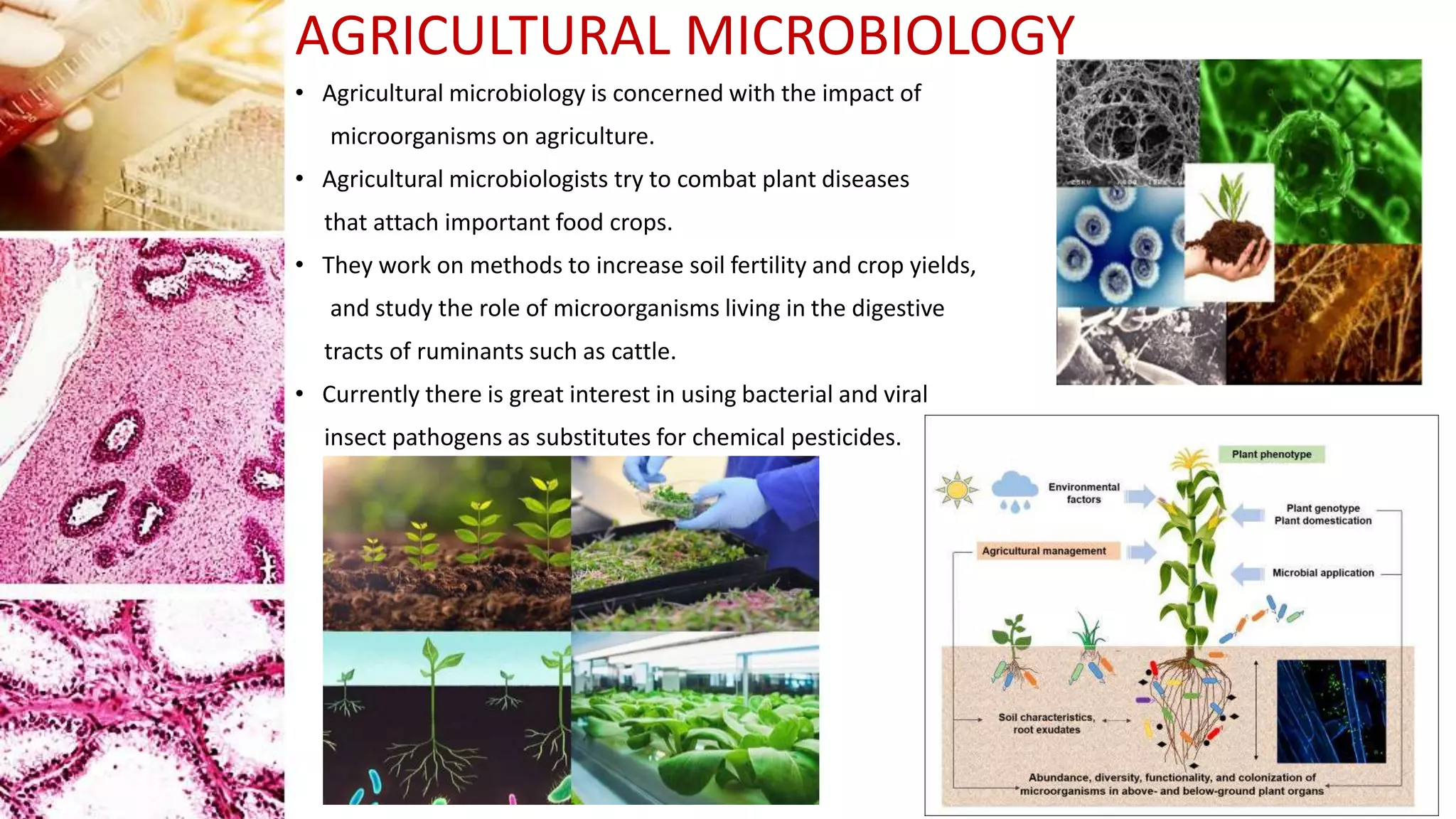 Scope of microbiology | PPT