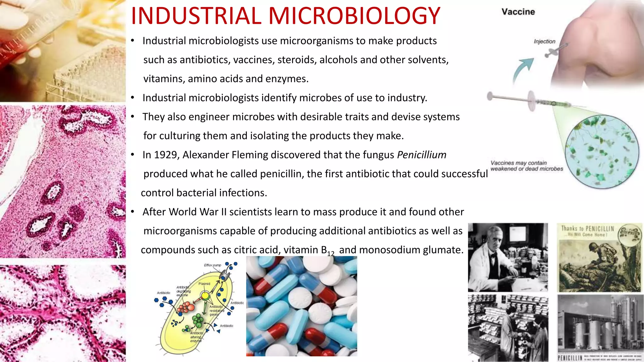 Scope of microbiology | PPT
