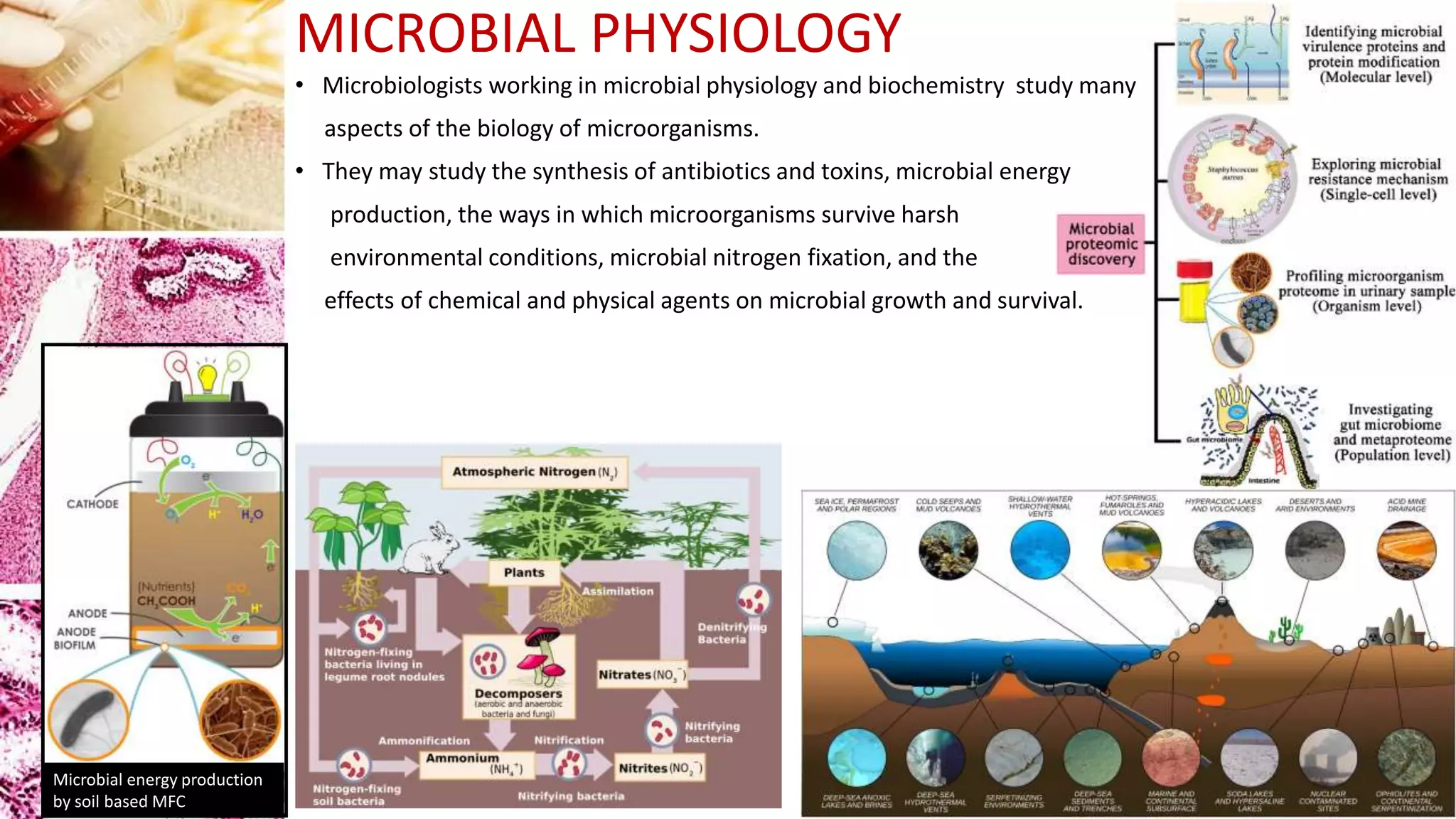 Scope of microbiology | PPTX