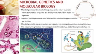 Scope of microbiology | PPT