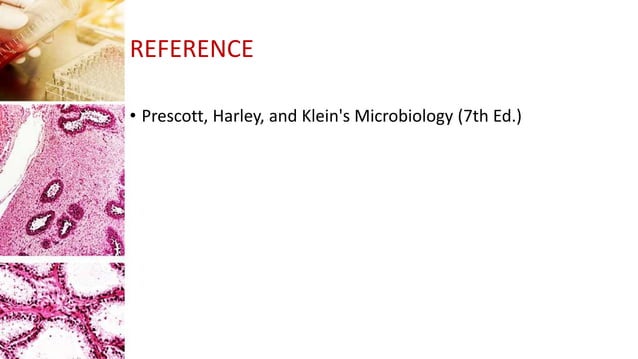 Scope of microbiology | PPT