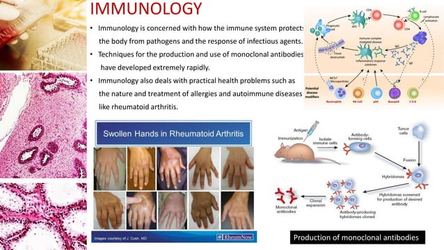 Scope of microbiology | PPT