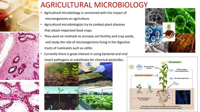 Scope of microbiology | PPT