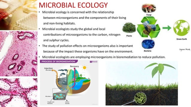Scope of microbiology | PPT