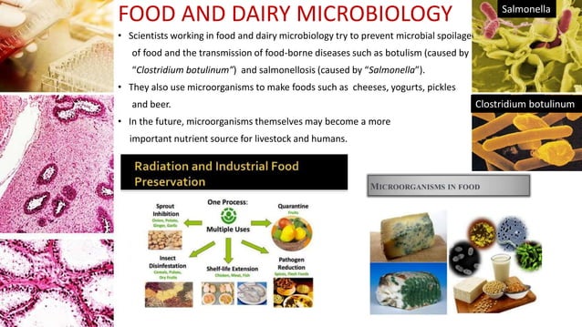 Scope of microbiology | PPT