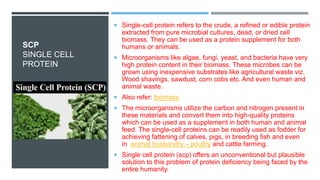 Scope of microbiology | PPTX