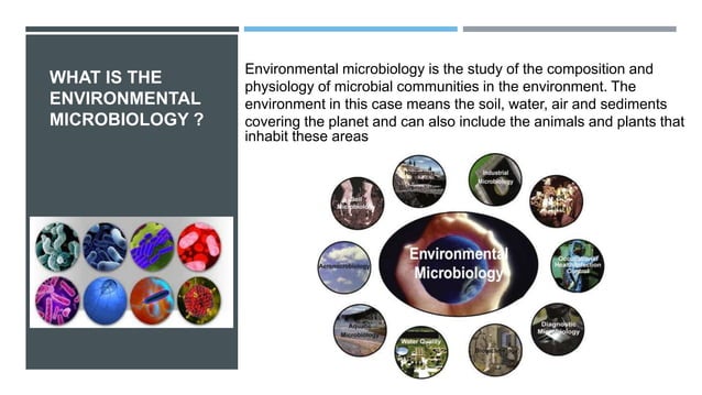 Scope of microbiology | PPTX