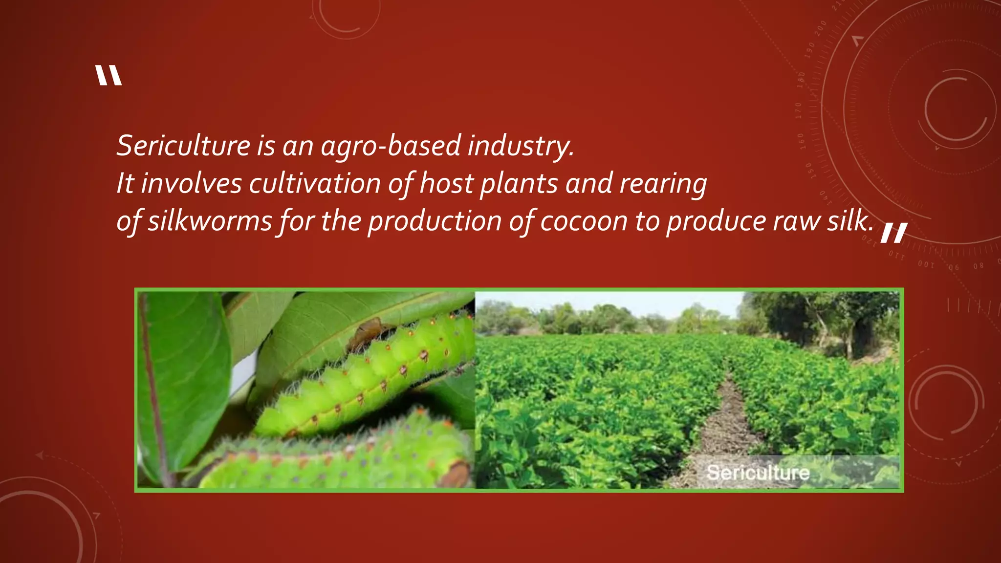 Scope and significance of sericulture | PPTX