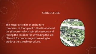 Scope and significance of sericulture | PPTX