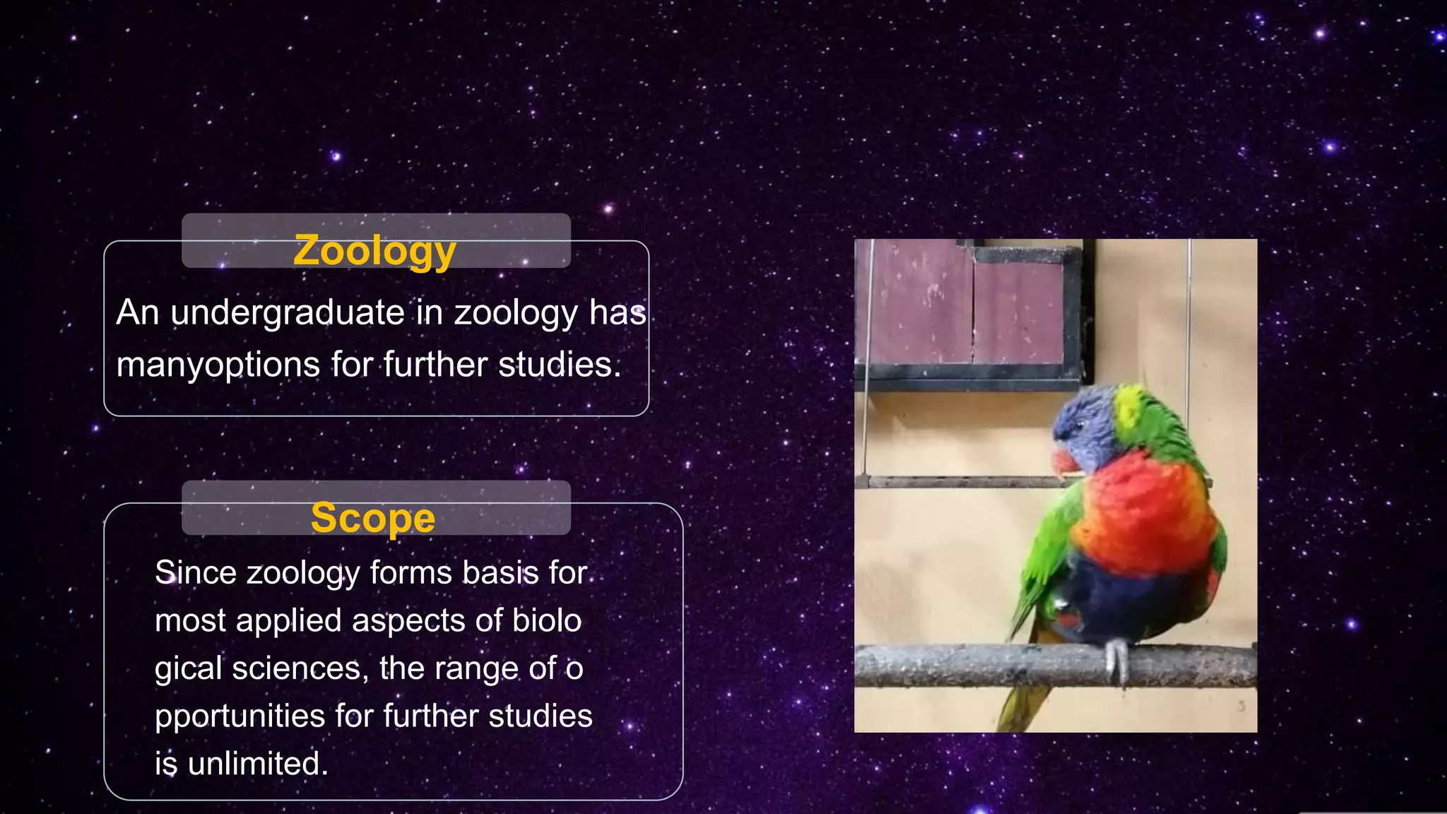 Scope of zoology | PPTX