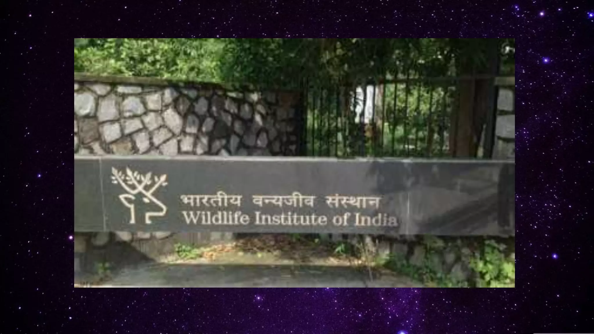 Scope of zoology | PPTX