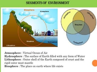Scope of Environment.pdf