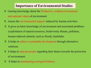 Scope of Environment.pdf