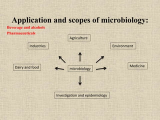 Scope, roles and responsibilities of microbiologist in | PPTX
