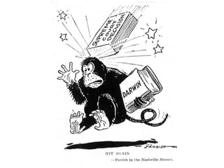 Scopes Monkey Trial | PPT