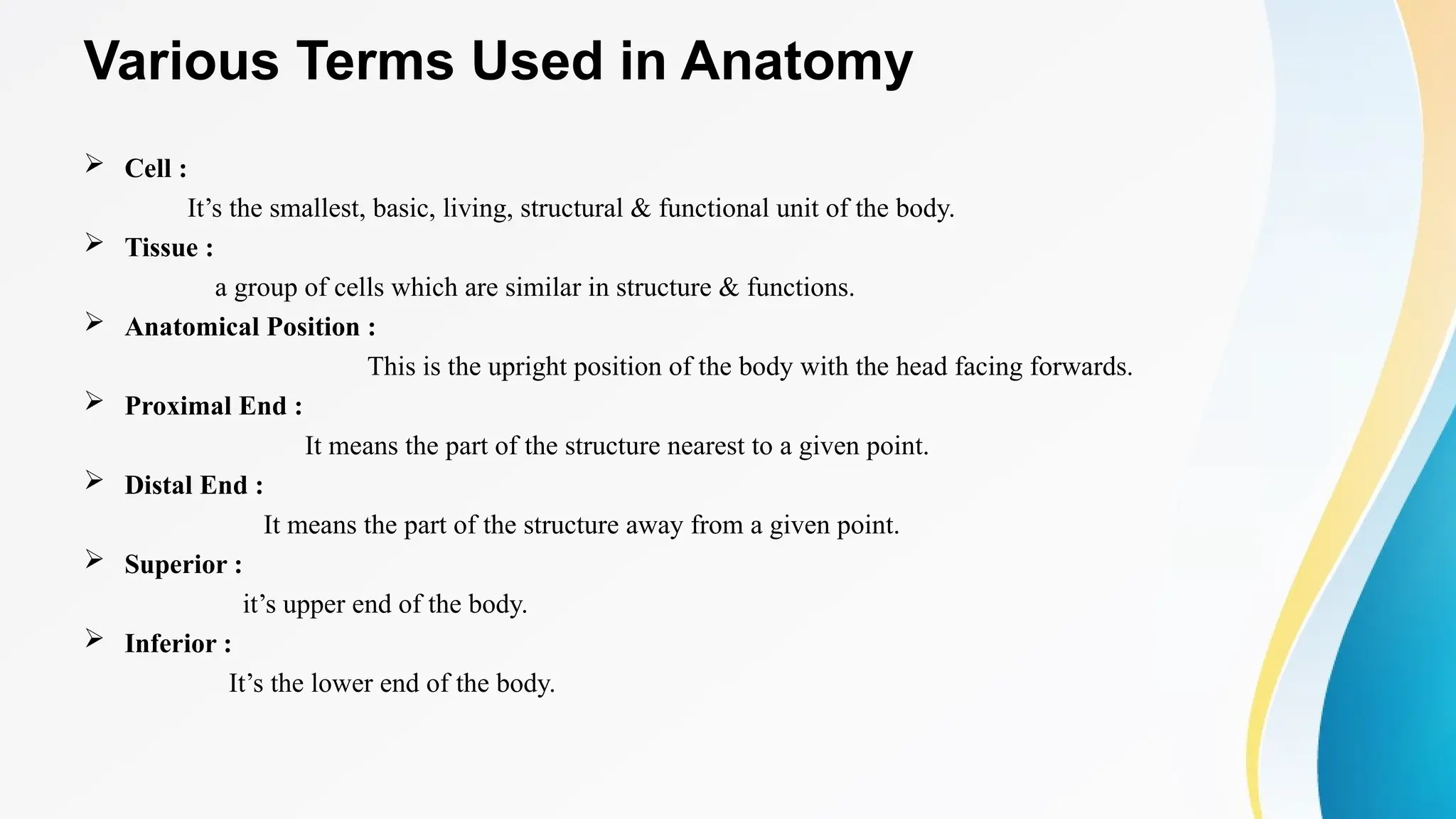 Scopes of Anatomy and Physiology along with different terminologies ...