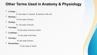 Scopes of Anatomy and Physiology along with different terminologies ...