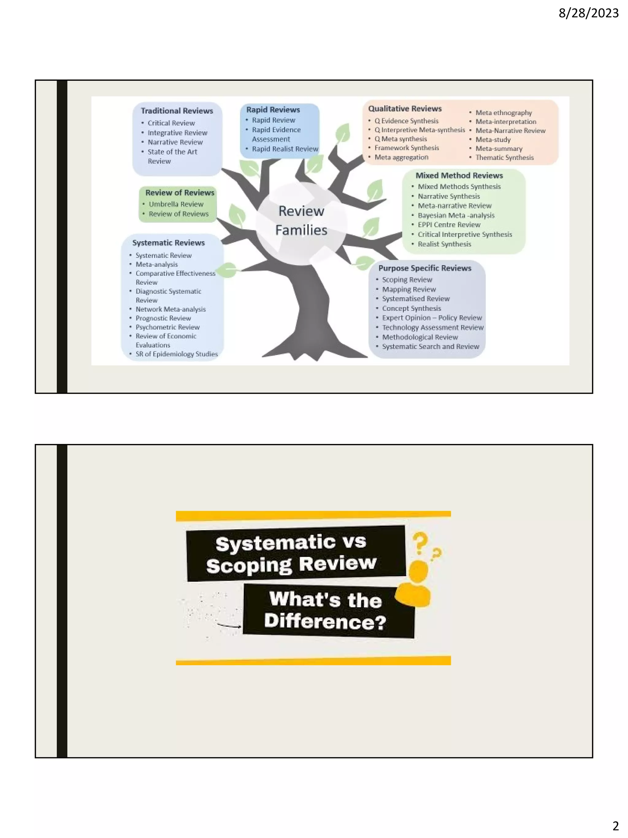 Scoping and Systematic Reviews.pdf