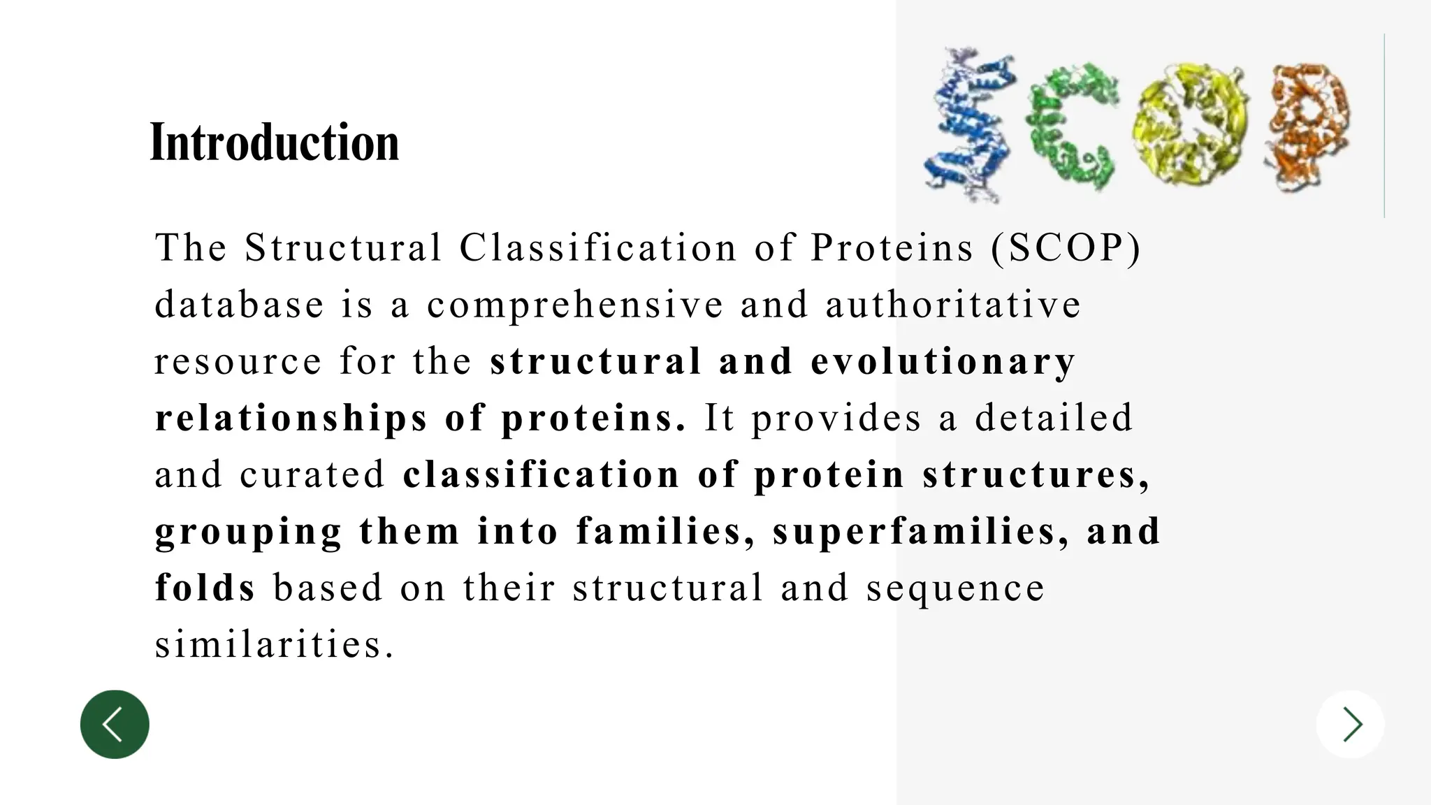 Structural Classification Of Protein (SCOP) | PPTX