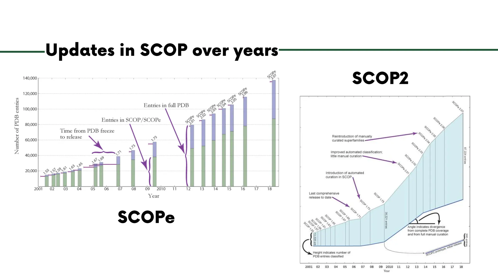 Structural Classification Of Protein (SCOP) | PPTX