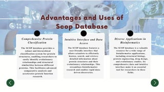 Structural Classification Of Protein (SCOP) | PPTX