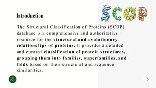 Structural Classification Of Protein (SCOP) | PPTX