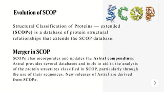 Structural Classification Of Protein (SCOP) | PPTX