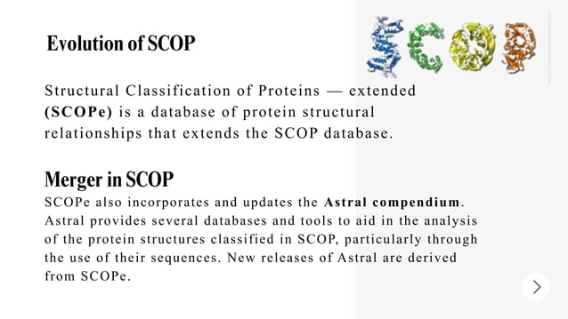 Structural Classification Of Protein (SCOP) | PPTX | Biological ...