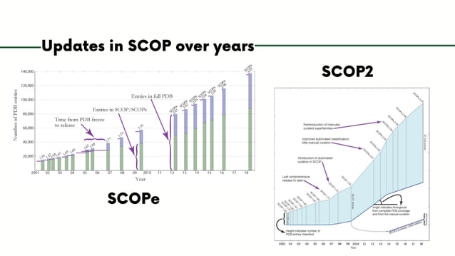Structural Classification Of Protein (SCOP) | PPTX | Biological ...