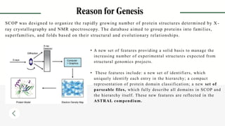 Structural Classification Of Protein (SCOP) | PPTX