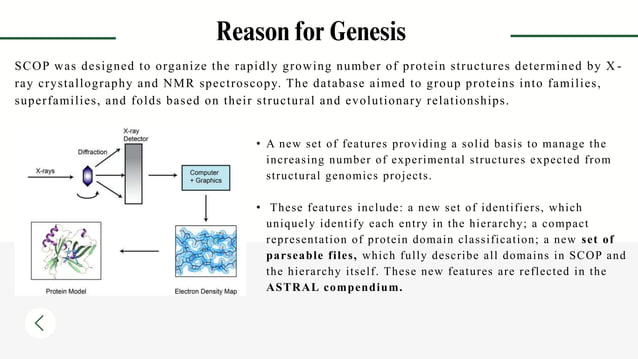 Structural Classification Of Protein (SCOP) | PPTX | Biological ...