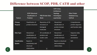 Structural Classification Of Protein (SCOP) | PPTX