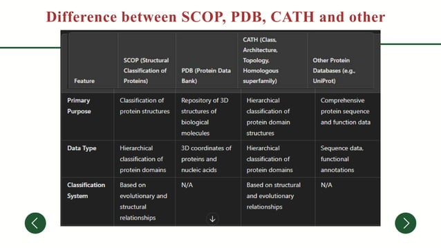 Structural Classification Of Protein (SCOP) | PPTX | Biological Sciences | Science