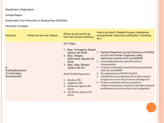 Sustainable Corn Production in Sloping Areas | PPT