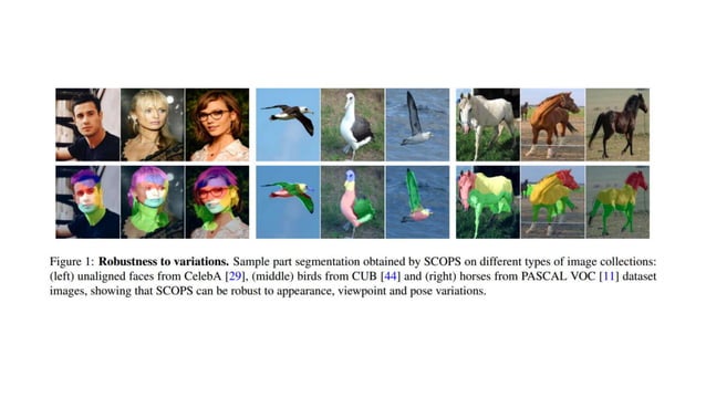 Scops self supervised co-part segmentation | PPT