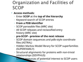 SCOP_structural_classification_of_Protei.ppt