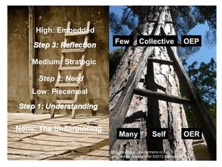 the OER Engagement Ladder | PPT
