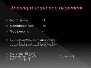 Scoring matrices | PPTX