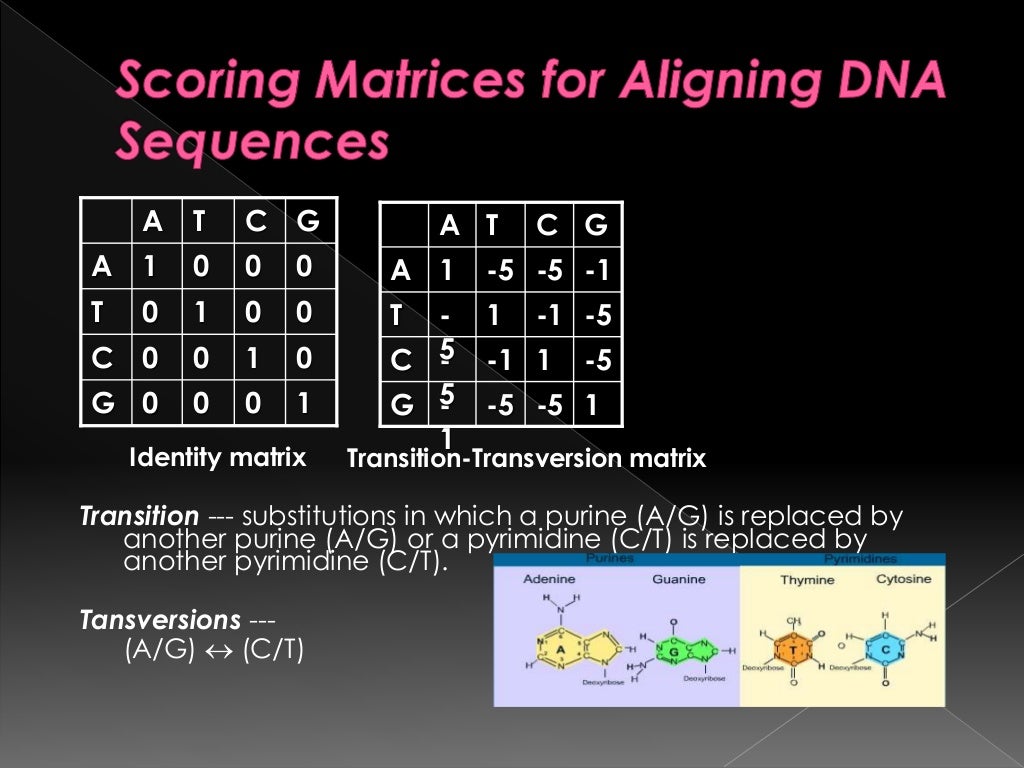 Scoring Matrices