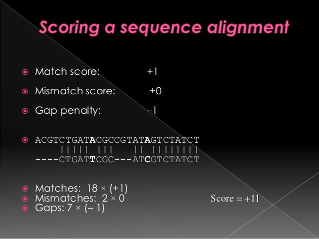 Scoring Matrices
