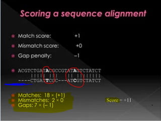 Scoring Matrices_5.scoring matrices .pdf
