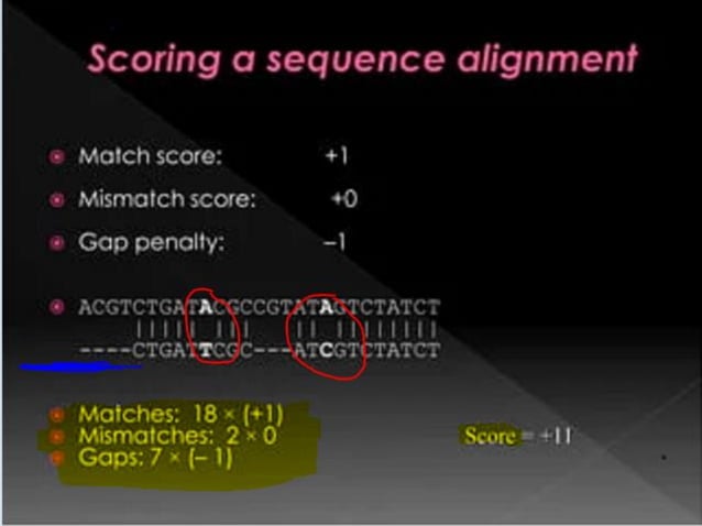 Scoring Matrices_5.scoring matrices .pdf