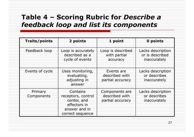 Scoring Options For Essays And Other Assignments | PDF