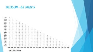 Scoring schemes in bioinformatics (blosum) | PPTX