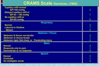 Scoring systems in traumatized children | PPT