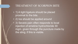 MANAGEMENT ON SCORPION AND THEIR BITES | PDF