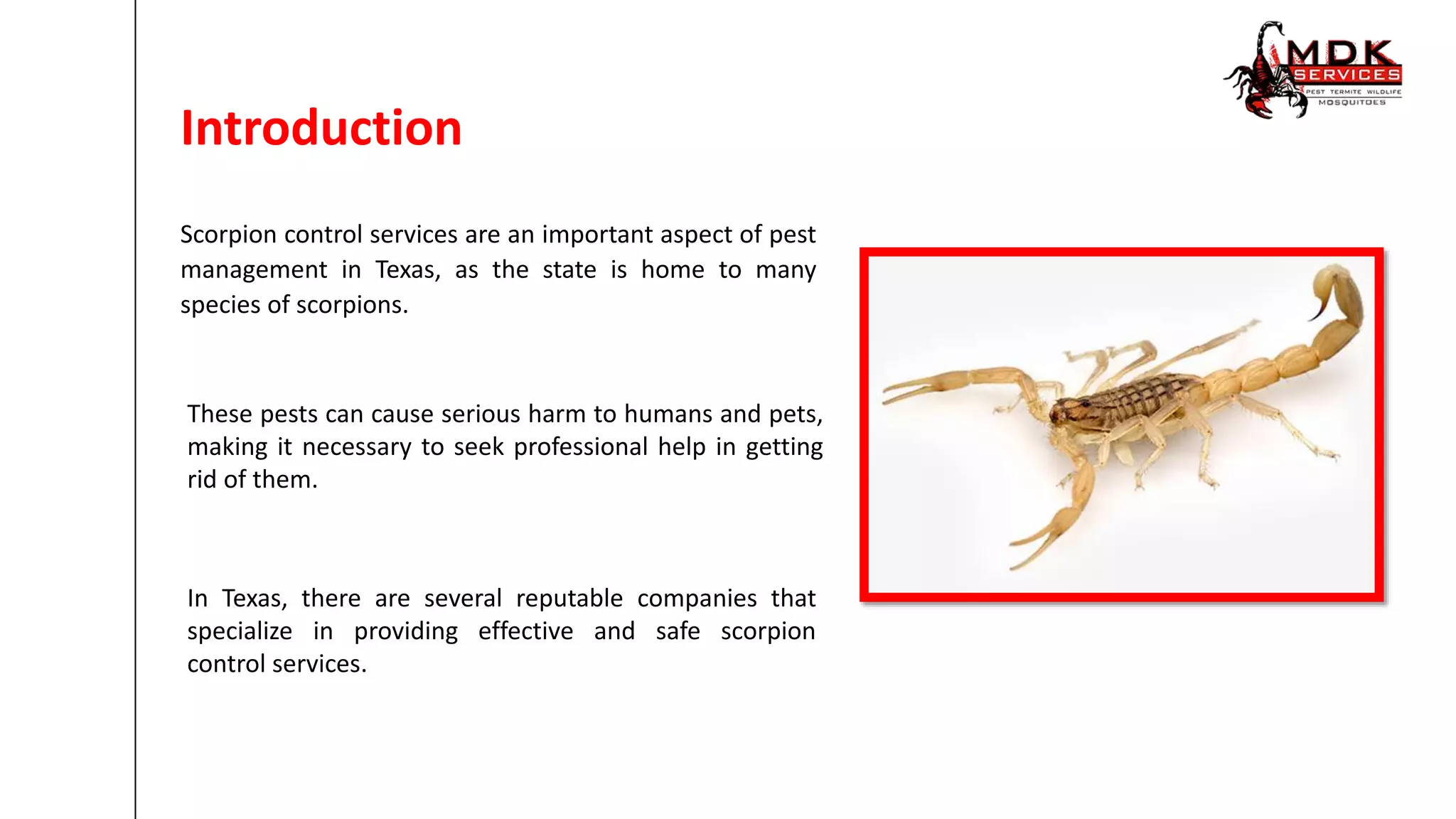 Scorpion Control Services in Texas | PPTX