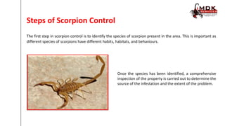 Scorpion Control Services in Texas | PPT