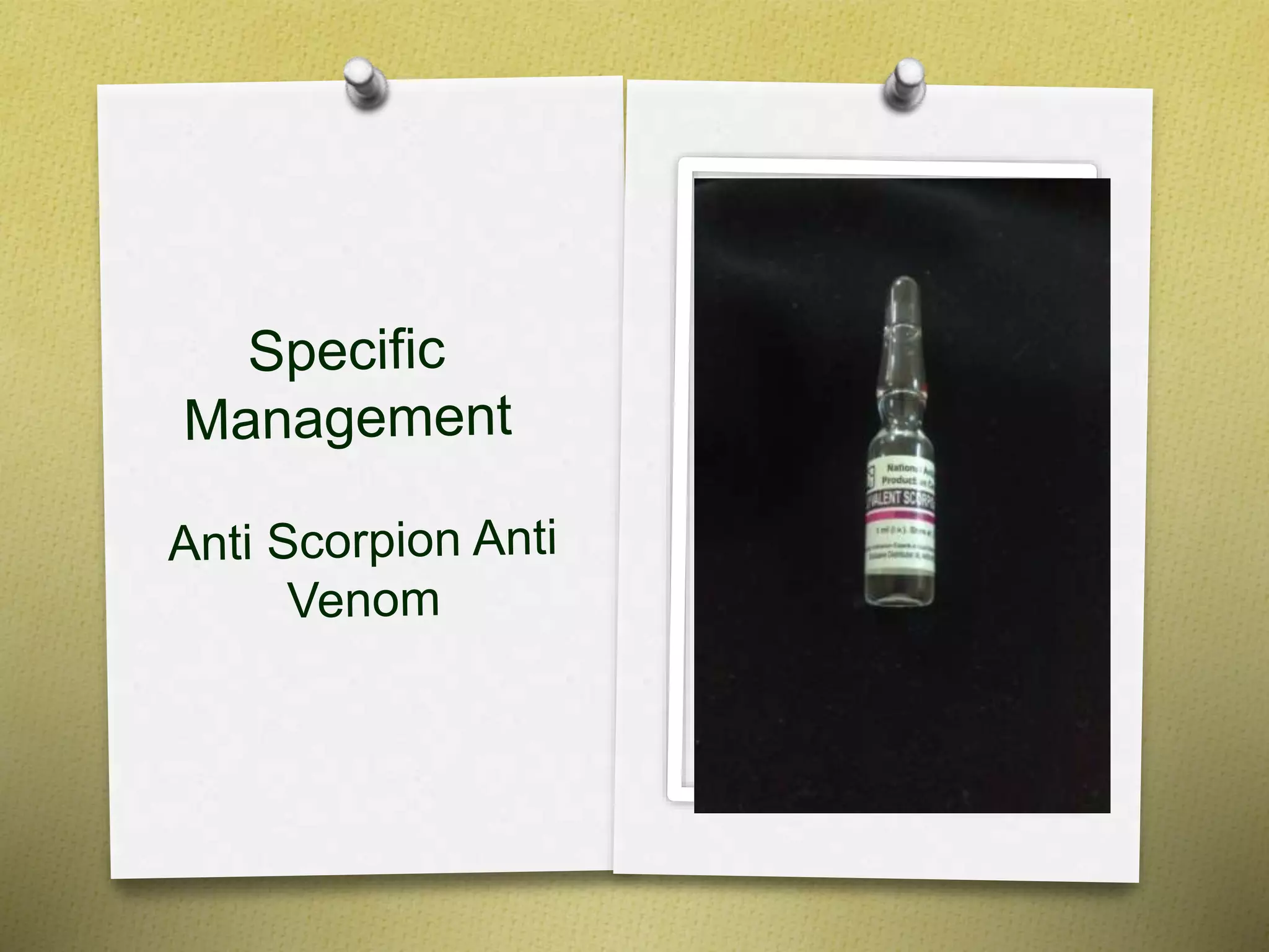 Scorpion envenomation copy | PPTX